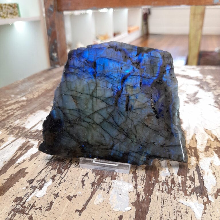 Stick & Stones, Shells & Bones